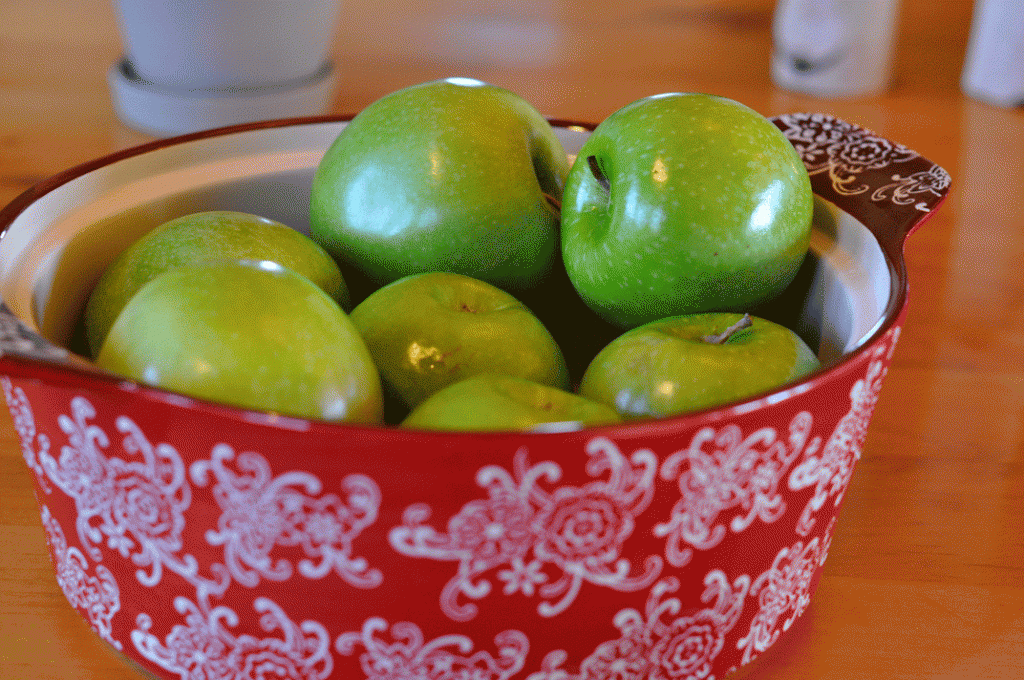 Cranberry Apple Pie - The Rocky Mountain Woman